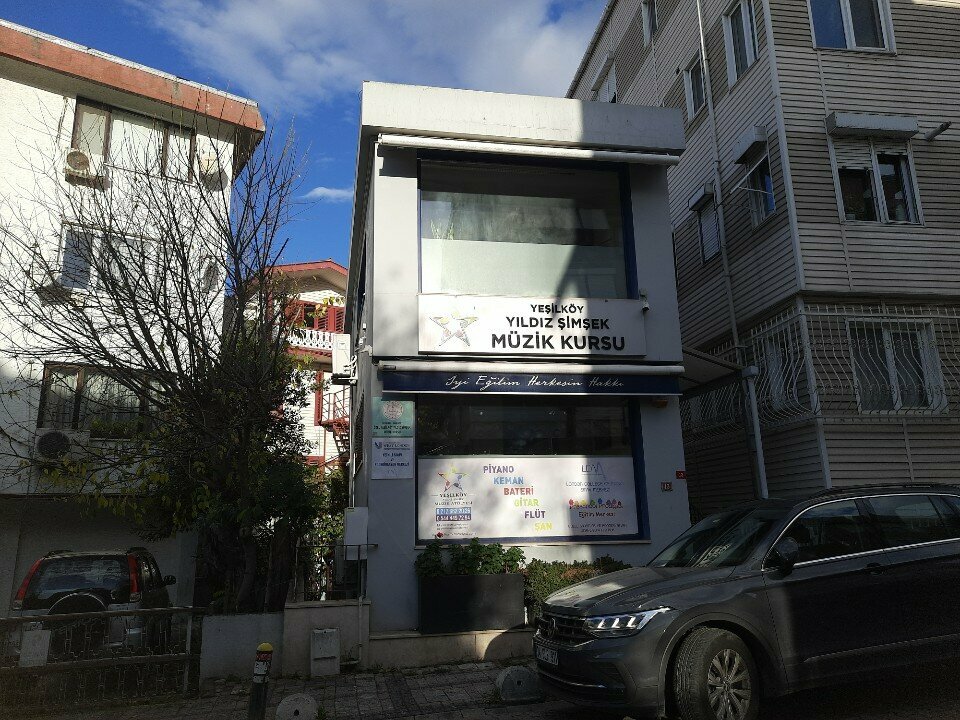 Müzik okulları ve konservatuarlar Yıldız Şimşek Müzik Kursu, İstanbul, foto