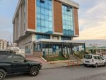 Bee Advise Consultancy Services (İstanbul, Maltepe, Girne Mah., Doğuşkent Cad., 6B), danışmanlık hizmetleri  İstanbul'dan