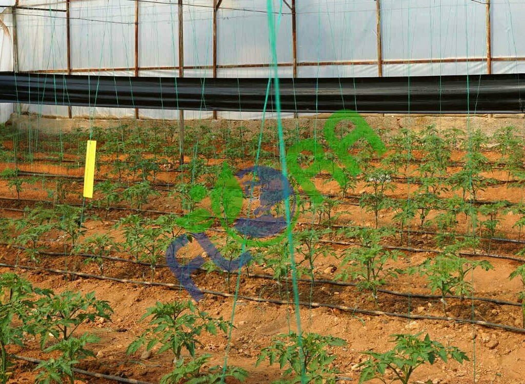 Tarım firmaları Flora Biyolojik Koruma Sistemleri, Antalya, foto
