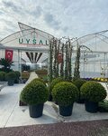 Uysal Süs Bitkileri (Yalova, Altınova, Tavşanlı Beldesi, Fatih Mah., İğde Sok., 3), sera ve bahçe ürünleri  Altınova'dan
