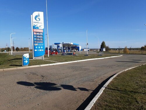 Benzin istasyonu Gazpromneft, Omskaya oblastı, foto