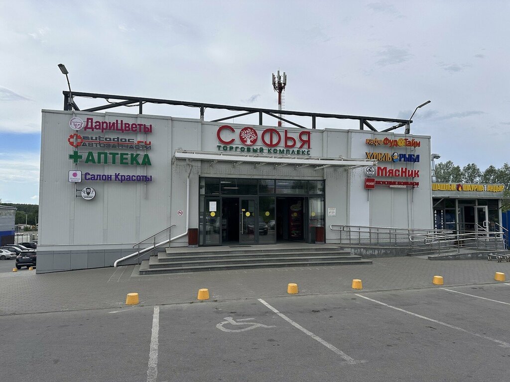 Otomobil yedek parçaları Autodoc.ru, Moskova, foto
