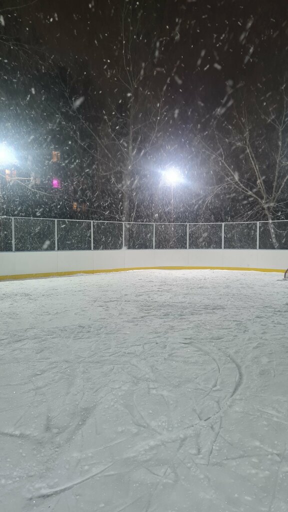Buz pateni pistleri Ice rink, Novosibirsk, foto