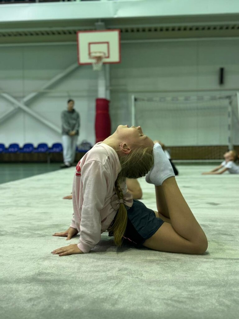 Spor kulüpleri Эластика, Moskova ve Moskovskaya oblastı, foto