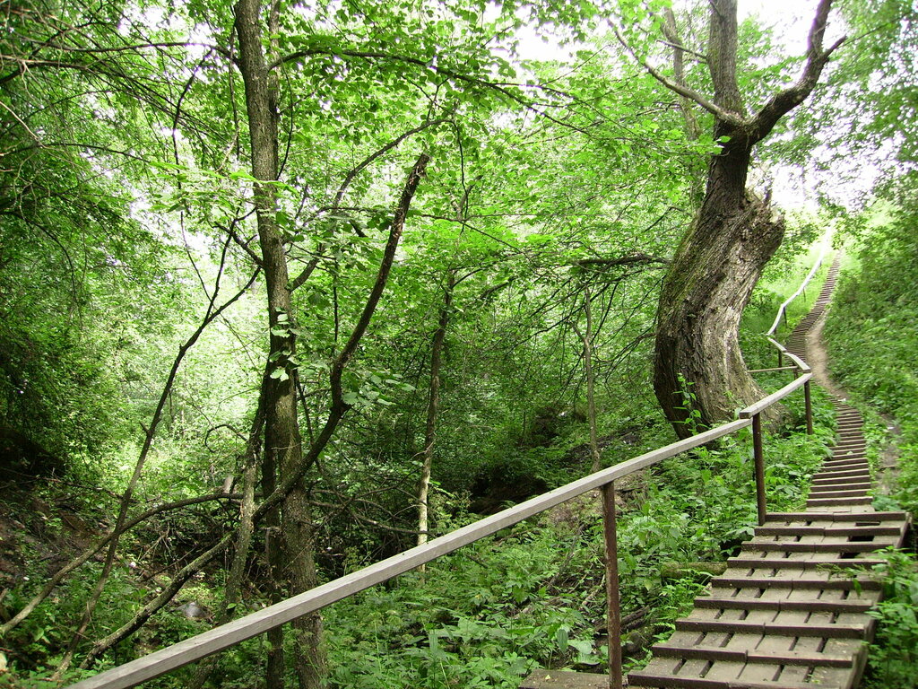 Pınar, çay Spring, stream, Çkalovsk, foto