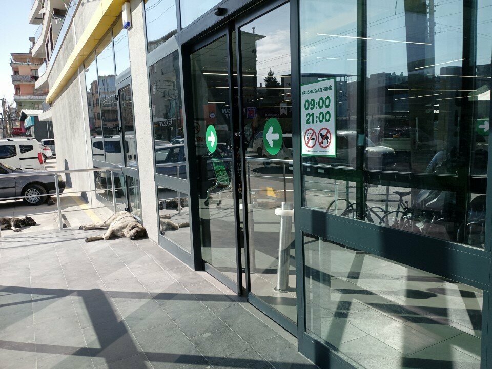 Süpermarket File, İzmir, foto