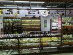 Travnica (Aleksandr Zataevıch kóshesi No:10), çay mağazaları  Karağandı'dan