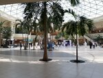 Marina Mall (Salem Al Mubarak Street No:900018, Al-Salmiya Area), alışveriş merkezleri  Dünya'dan