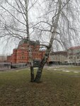 Трансформаторная подстанция № 211 (Piershamajskaja vulica No:7), mühendislik altyapısı  Moguilev'den