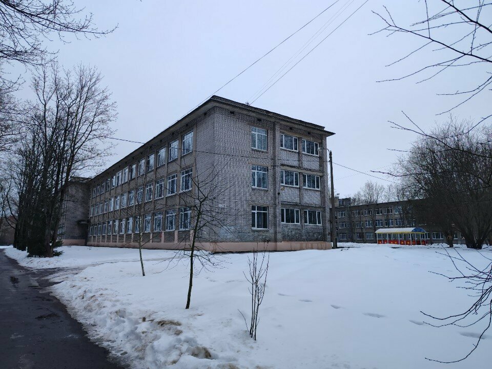 Yatılı okul Shkola-internat № 67 dlya detey s ogranichennymi vozmozhnostyami, Puşkin, foto