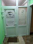Alisa lashes (Yubileynaya ulitsa No:28к1, Zheleznodorozhny Microdistrict), kaş ve kirpik salonu  Balaşiha'dan