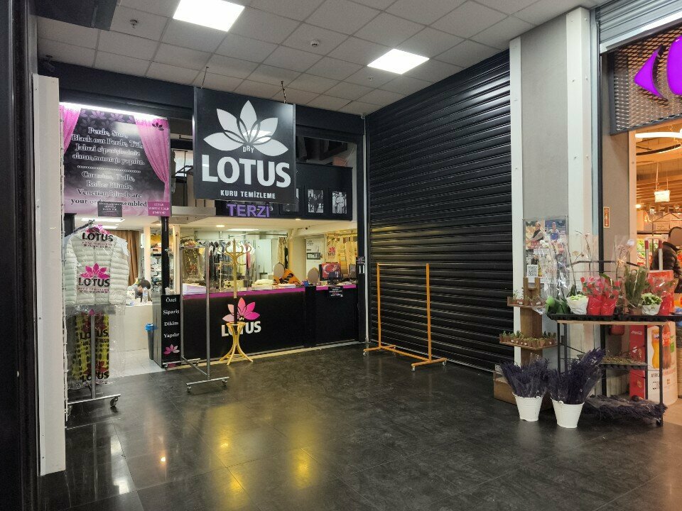 Kuru temizlemeciler Lotus Kuru Temizleme, İstanbul, foto