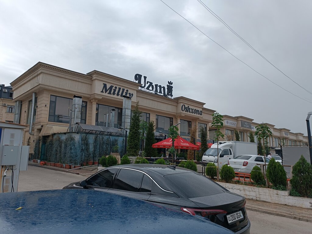 Restoran Afzal, Taşkent eyaleti, foto