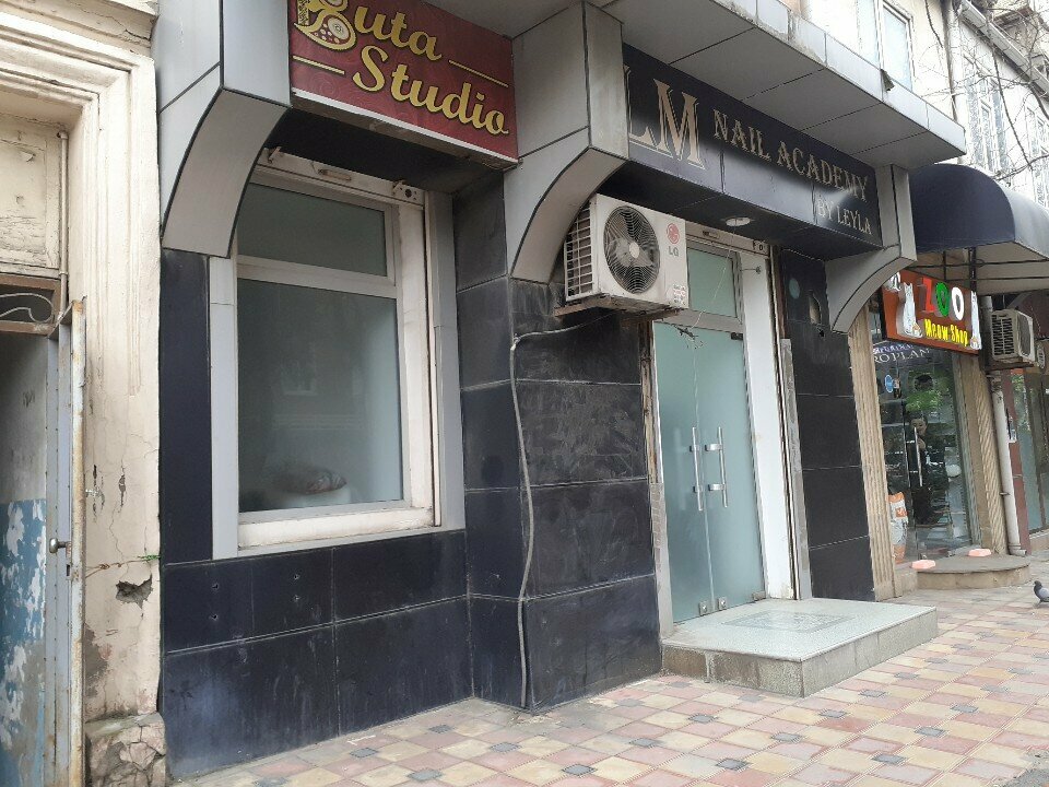 Uzmanlık eğitimi Lm, Bakü, foto