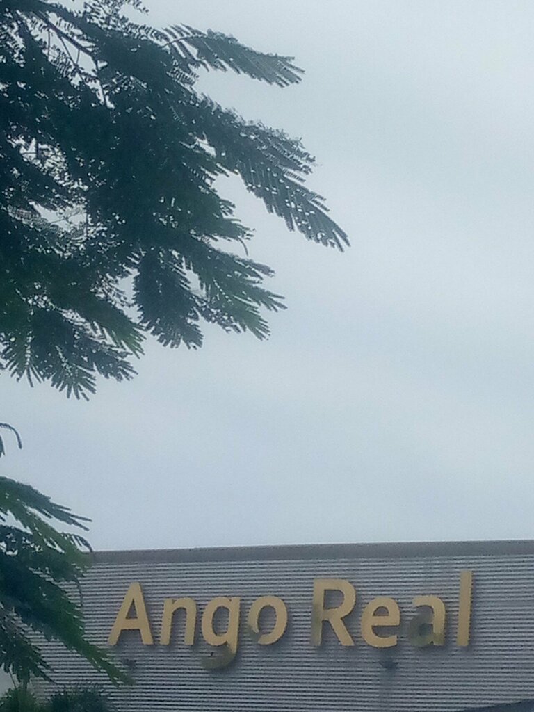 Pasta, şekerleme ve tatlı Pastelaria Ango-Real, Loanda, foto