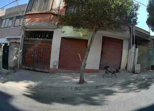 Marmolao (Department of La Paz, Provincia Murillo, La Paz, Obrajes, Bella Vista Central 2, Avenida Ignacio Sanjinés, 761), ekmek fırını  La Paz'dan