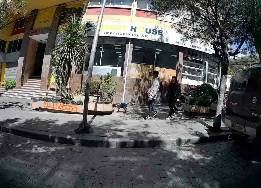 Beyaz eşya mağazaları Smart House, La Paz, foto