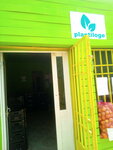 PLANTILOGE Loja Morro Bento (Luanda Province, Municipality of Luanda, Morro Bento II), market  Loanda'dan