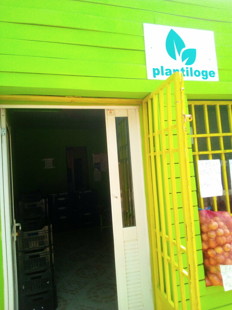 Market PLANTILOGE Loja Morro Bento, Loanda, foto