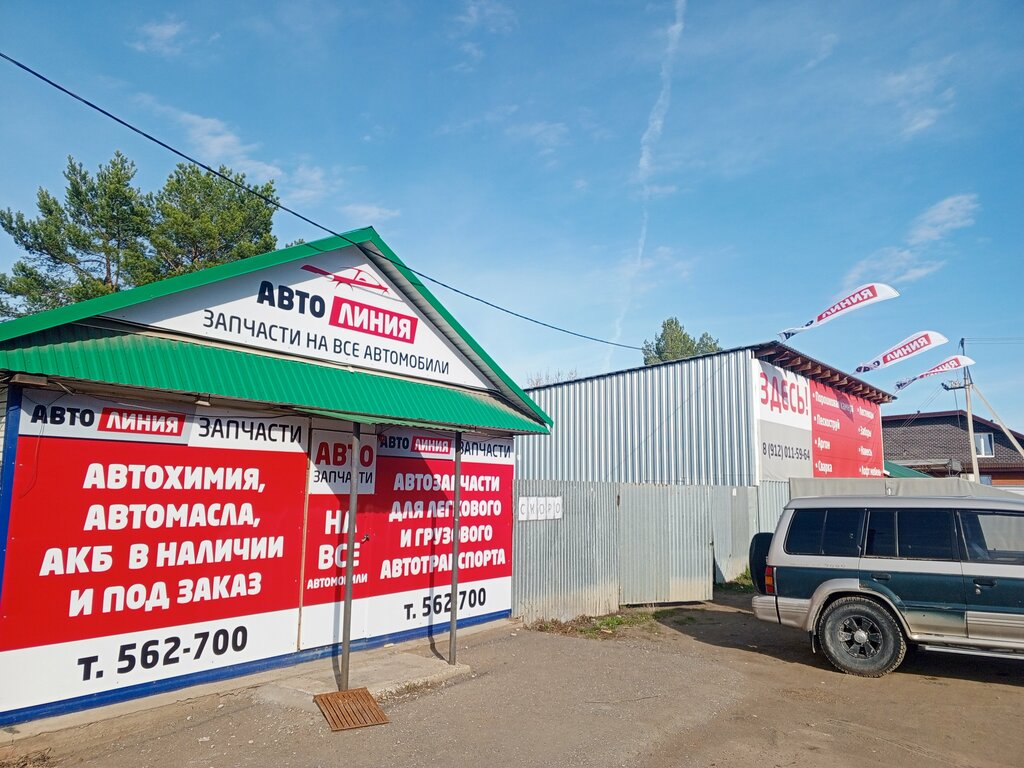 Oto yıkama Ksa auto, Udmurtiya, foto