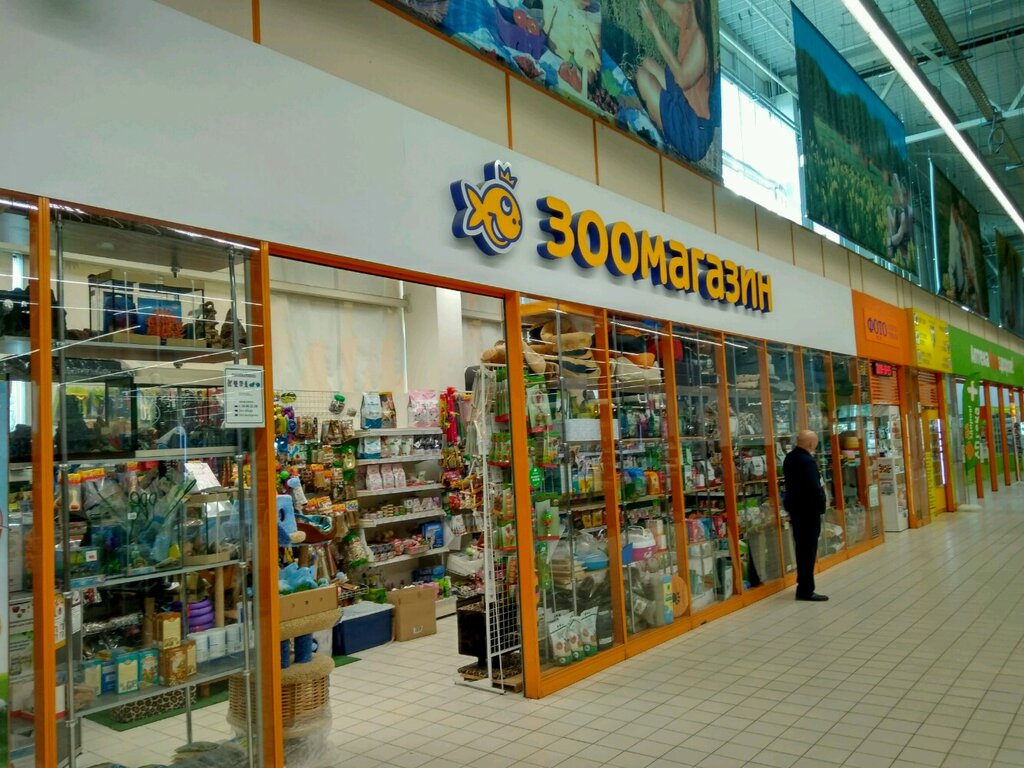 Petshop Gold Fish, Saint‑Petersburg, foto
