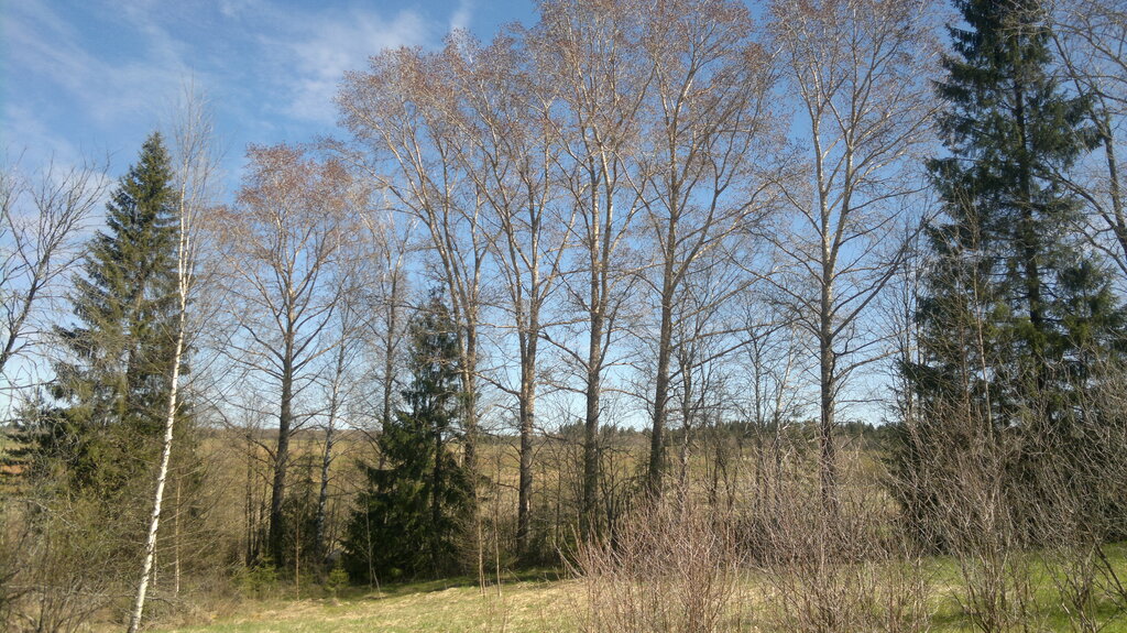 Turistik yerler Усадьба М.И. Захаржевского, Novgorodskaya oblastı, foto