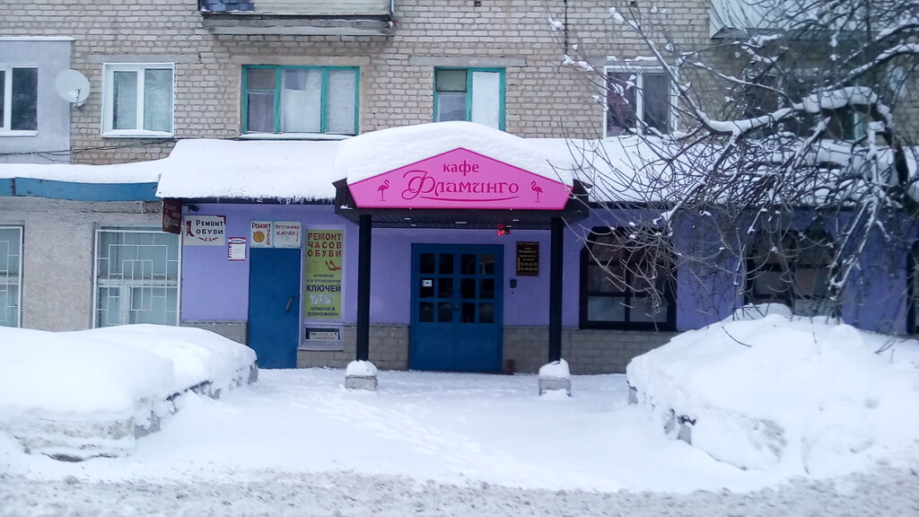 Bar Bar Flamingo, Saratovskaya oblastı, foto