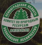 Volosovskoe lesnichestvo - filial Logku Lenoblles (Leningrad Region, Volosovskoye gorodskoye poseleniye), orman işleri  Saint‑Petersburg ve Leningradskaya oblastından