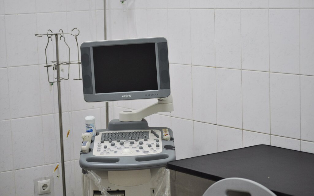 Veteriner klinikleri Veterinarnaja klinika Pyos i Kot, Petuşki, foto