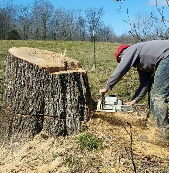 Bahçe ekipmanları ve teknolojileri Heisinger Tree Service, Clarksville, foto