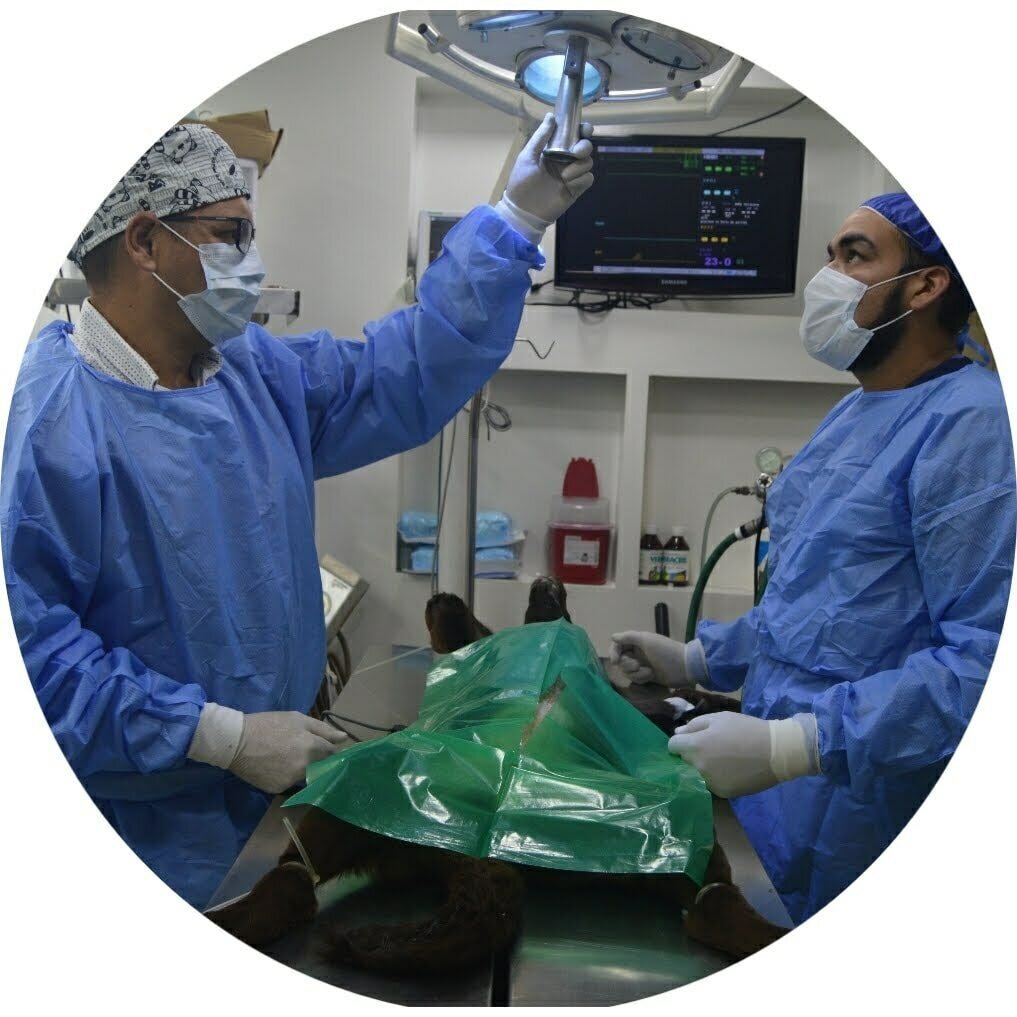 Veteriner klinikleri Vets Santa isabel, Bogota, foto