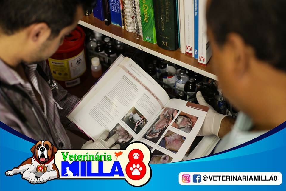 Petshop Veterinaria Milla 8, Dünya, foto