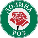 Dolina roz (Respublikanskaya Street No:43к1), çiçek teslimatı  Nijni Novgorod'dan