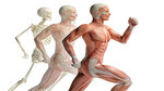 Dr. Edward Kessler Dc (Virginia, Virginia Beach Сity), alternatif tıp merkezleri  Virginia Beach'ten