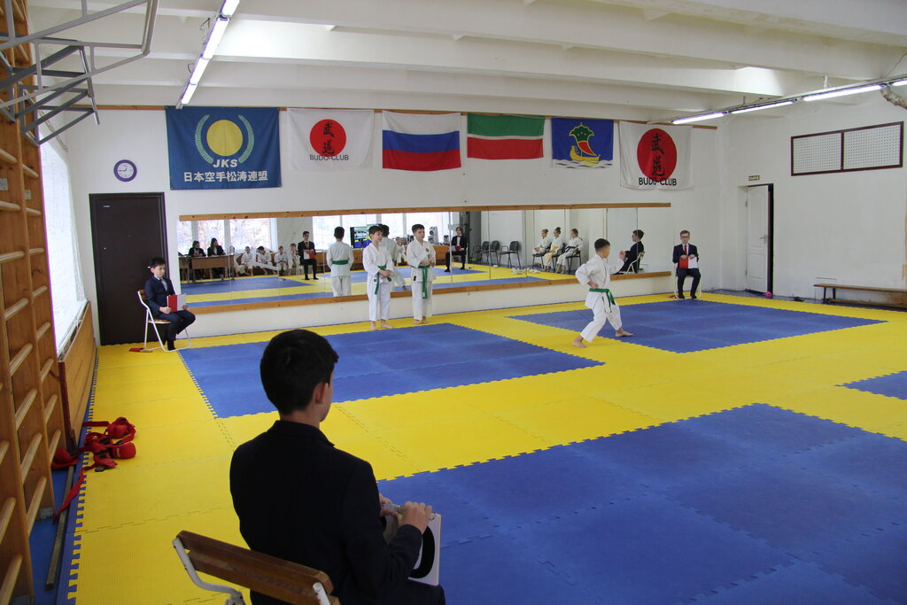 Spor kulüpleri Budo, Naberejniye Çelny (Yar Çallı), foto