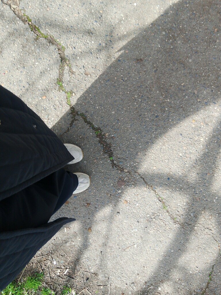 Televizyon kanalları Maykopskoye Gorodskoye Televideniye, Mu, Maykop, foto