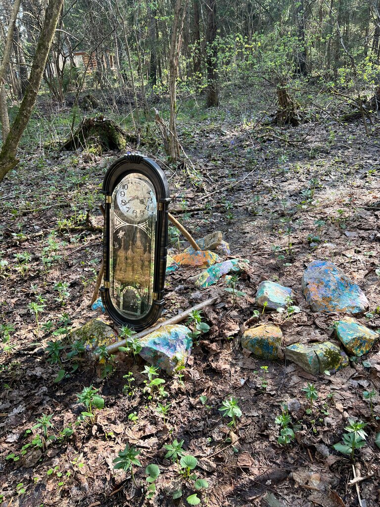 Doğa koruma alanı памятник природы регионального значения Широкие луга, Kalujskaya oblastı, foto