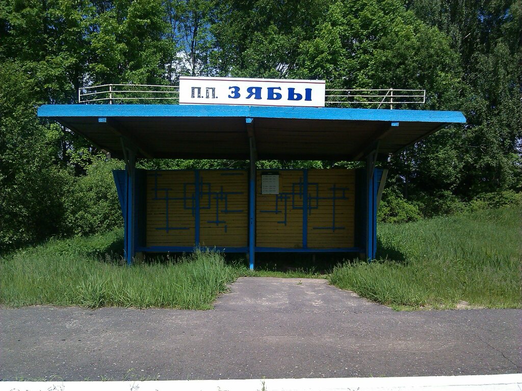 Tren istasyonu prypynacny punkt Ziaby, Vitebskaya oblastı, foto