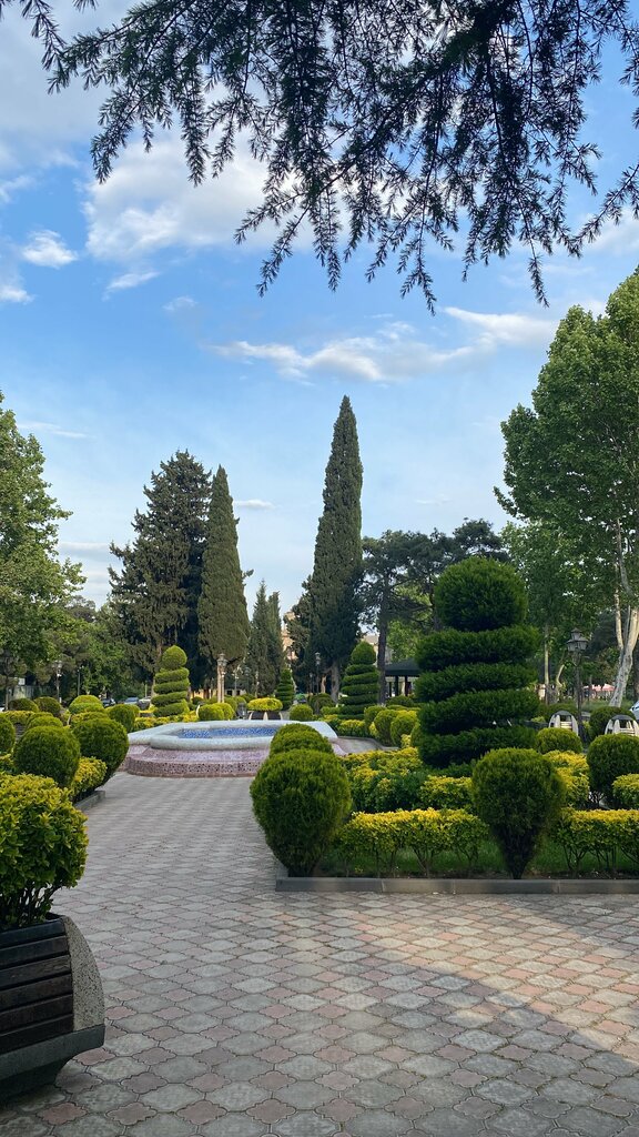 Kültür ve eğlence parkları Heyder Aliev Park, Rustavi (Bostandere), foto