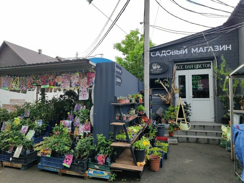 Bahçecilik mağazaları Цветочный карниз, Gelencik, foto