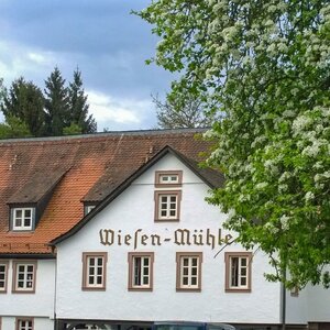 Hotel Brauhaus Wiesenmuhle (Wiesenmühlenstraße No:13, Fulda), otel  Fulda'dan