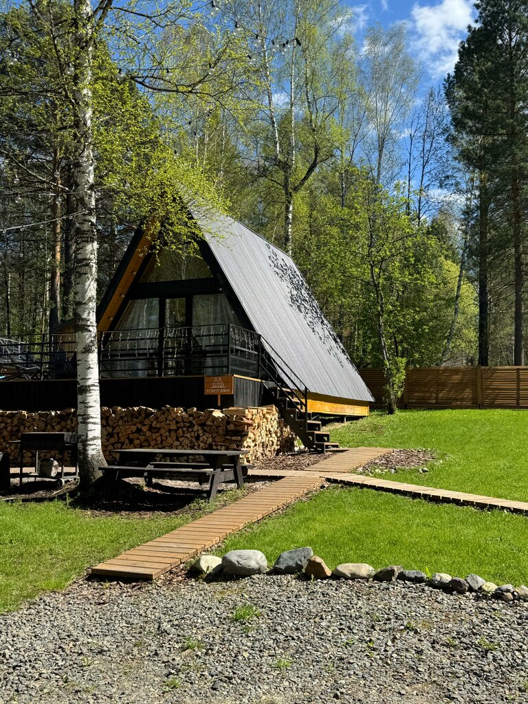 Resort oteller, tesisler Forest Birdy, Tomsk, foto