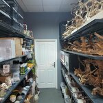 Pets-start.by (Kalvaryjskaja Street No:62), petshop  Minsk'ten