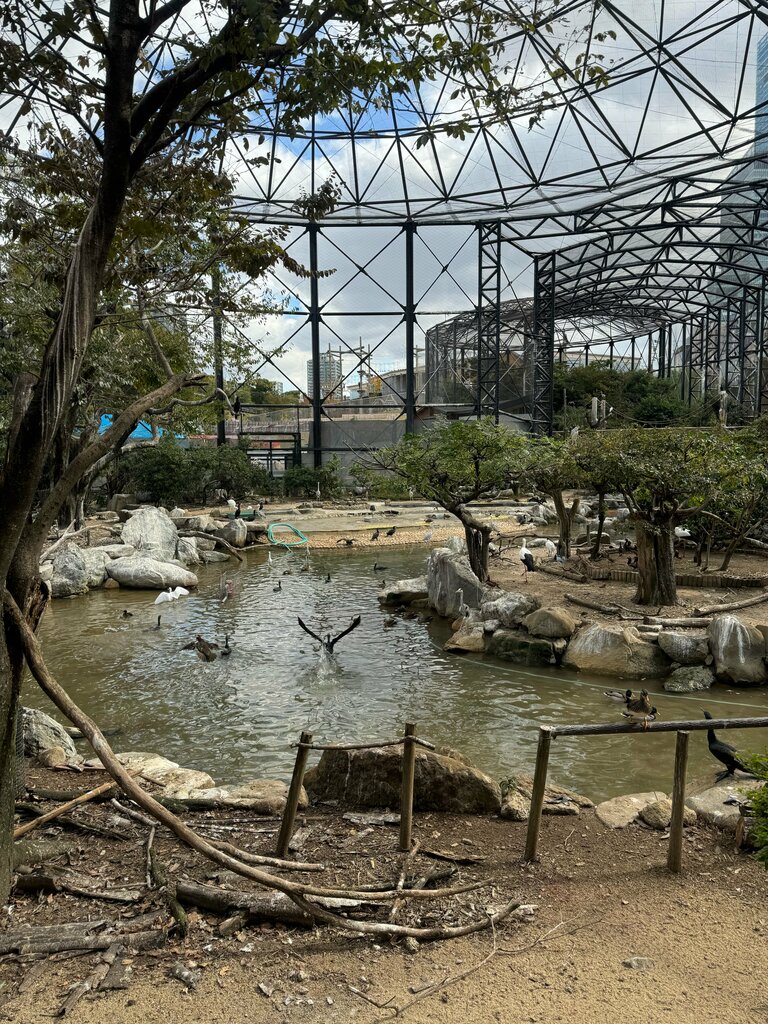 Hayvanat bahçeleri Zoo, Osaka, foto