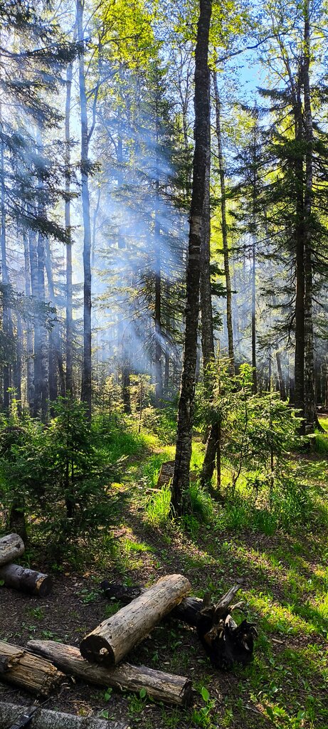 Kamp alanları Стоянка имени Леонида Гарбера, Çeliabinskaya oblastı, foto