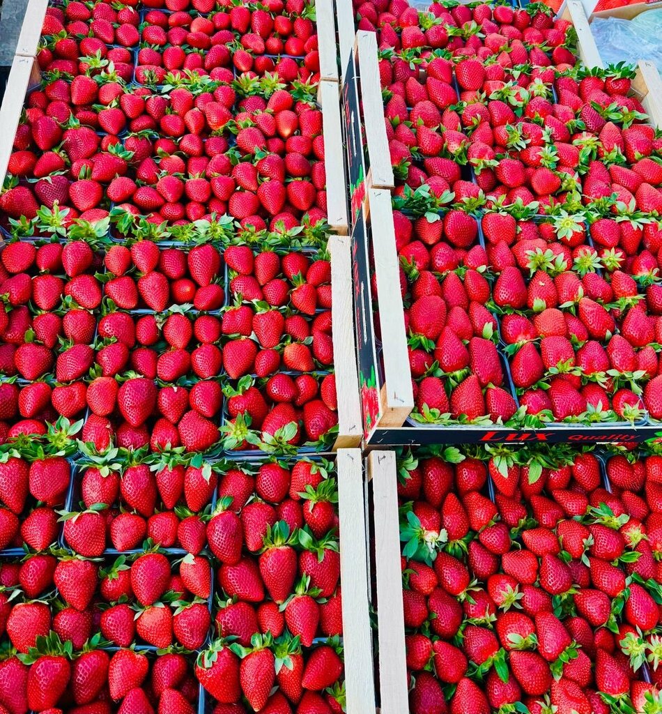 Manavlar Планета сухофруктов, Yekaterinburg, foto