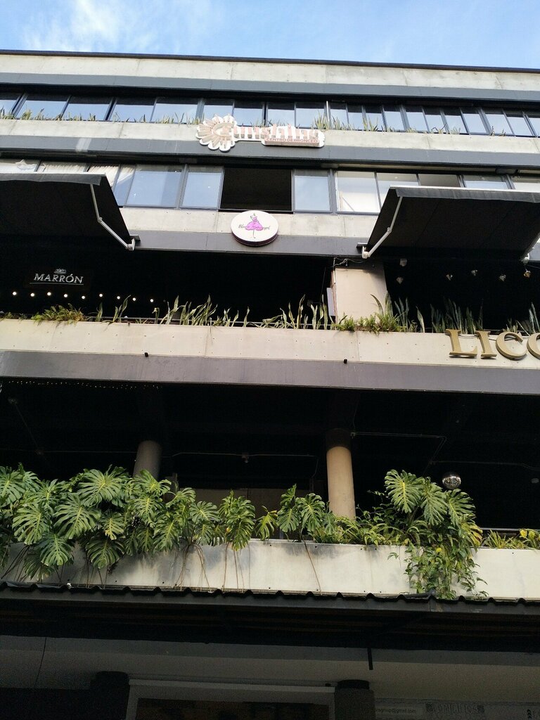 Alışveriş merkezleri Mall Torres, , foto