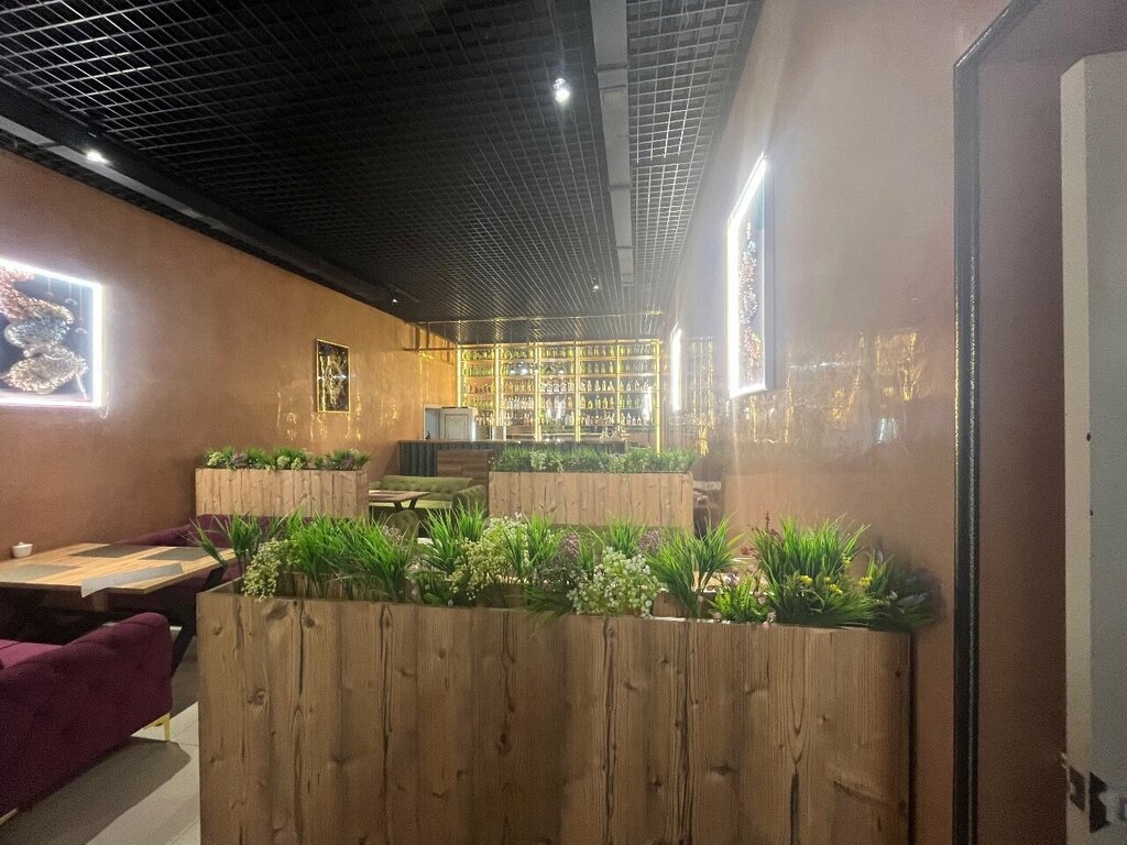 Bar Selfie, Taraz, foto