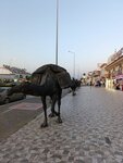 Anatolıa Bazaar (Antalya, Manavgat, Evrenseki Mah., 21. Sok., 2H), pazarlar ve çarşılar  Manavgat'tan