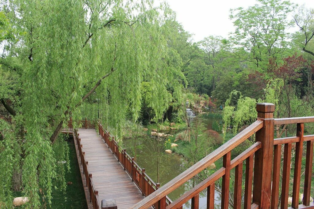 Hayvanat bahçeleri Shanghai Natural Wild Insect Kingdom, Şanghay, foto